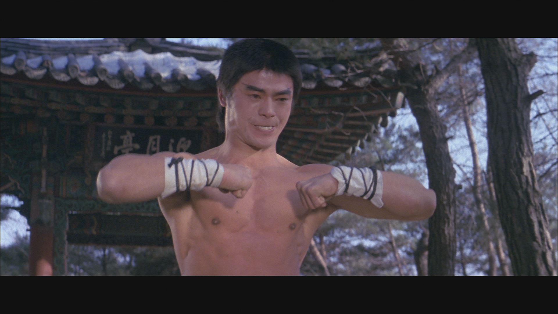Hero of Shaolin – Eastern Film Fans